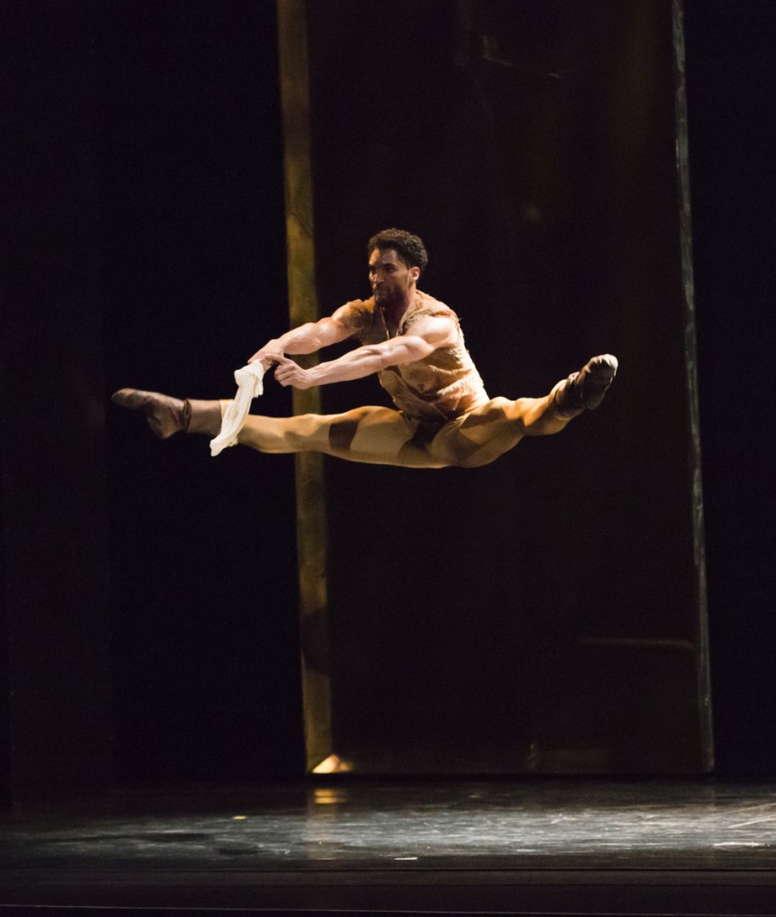 Fabrice Calmels | rogue ballerina